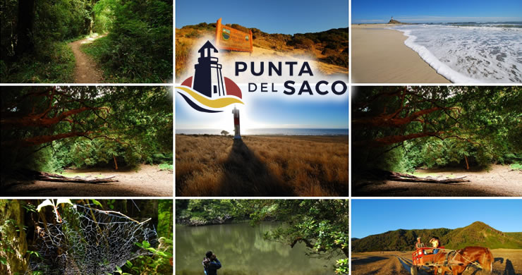 Isla Mocha Chile | Turismo Isla Mocha | Como llegar a isla mocha como ...