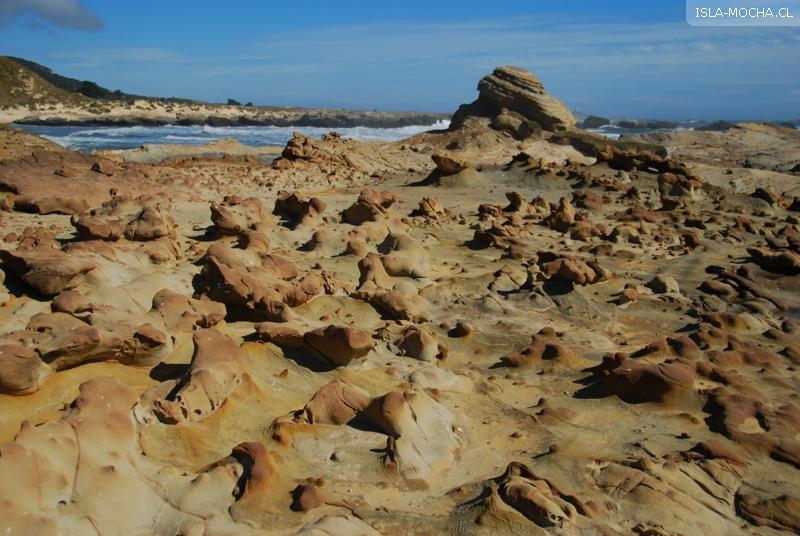 Isla Mocha Chile | Turismo Isla Mocha | Como llegar a isla mocha como ...
