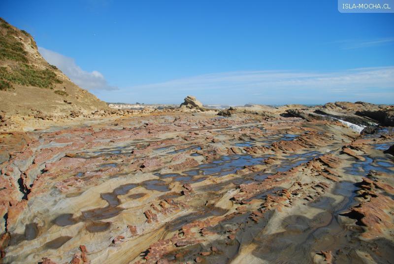 Isla Mocha Chile | Turismo Isla Mocha | Como llegar a isla mocha como ...